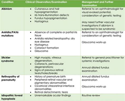 Foveal Hypoplasia Diagnosis With Oct And Clinical Management Mivision