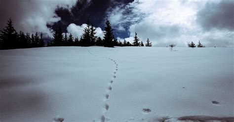 Cloudflare Enhances Developer Experience With Vite Plugin And React Router V7 Support Infoq