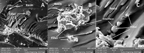 Sem Micrographs Static Tensile Test Of Composite Material A Fracture