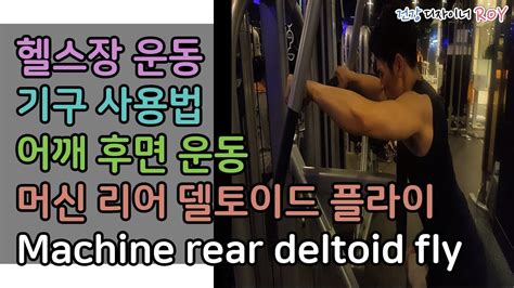 어깨운동 머신 리어 델토이드 플라이machine Rear Deltoid Fly 넓은어깨만들기 헬스장 초보 헬스장기구사용법 헬스장 운동기구 사용법 건디roy