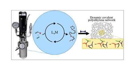 Molecularly Defined Polyolefin Vitrimers From Catalytic Insertion Polymerization Journal Of