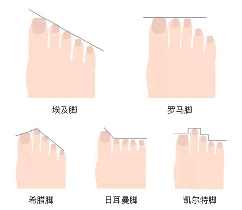 研究 伸出你的脚趾帮你看看脚相啊 知乎