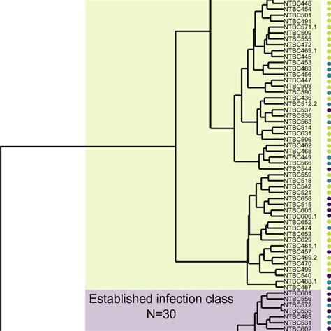 Hierarchical Clustering Of The Refined Dataset Isolates Into Early