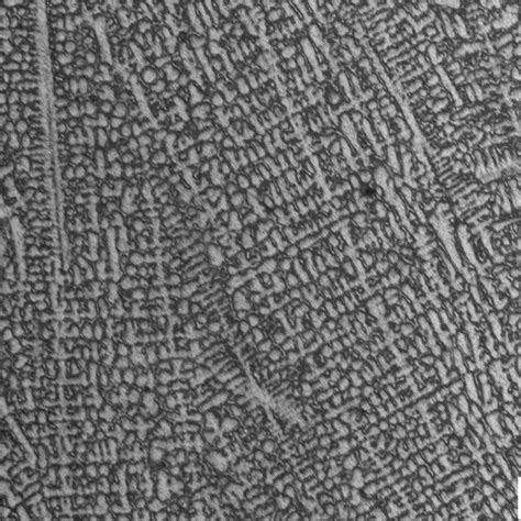 Microstructure Of Hp Nb Steel With Austenite Dendritic Structure And Download Scientific