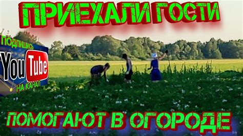Приехали гости помогают в огороде Youtube