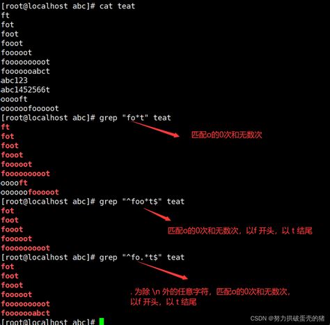 正则表达式详解 Csdn博客