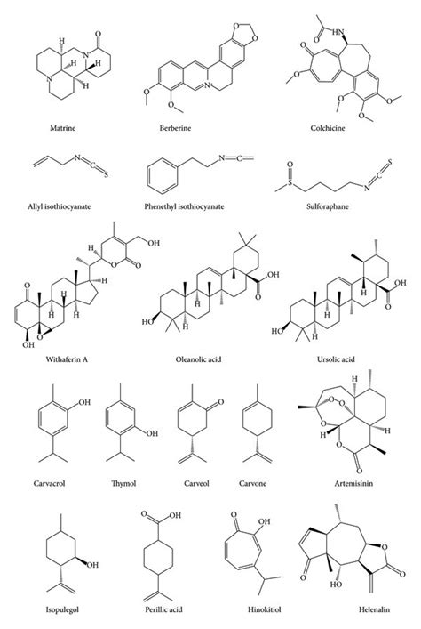 Some Phytochemical Compounds With Potent Anticancer Properties