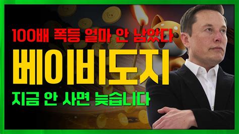 일론 머스크의 베이비 도지코인 폭등 계획 비밀을 공개합니다 베이비도지코인 도지코인 일론머스크 리플코인 Youtube