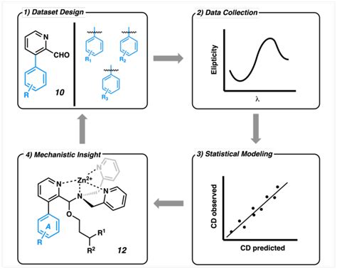 Data Science Workflow For The Development And Understanding Of