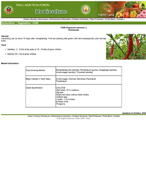 chilli yield pdf