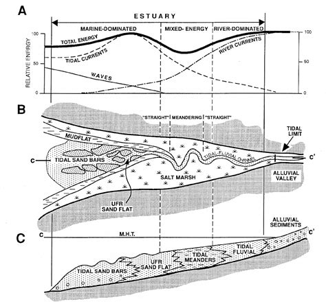 Figure 2 1 From Long Term Morphological Response Of Tide Dominated Estuaries Semantic Scholar