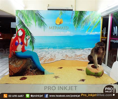Backdrop Mermaid 3มิติ ฉากฟิวเจอร์บอร์ดพร้อมขาตั้ง 240x360 Cm