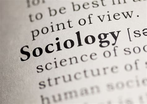 What Is Sociology Meaning Scope Nature Importance