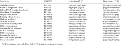 Primer Sequences Used For Quantitative Real Time Reverse Transcription