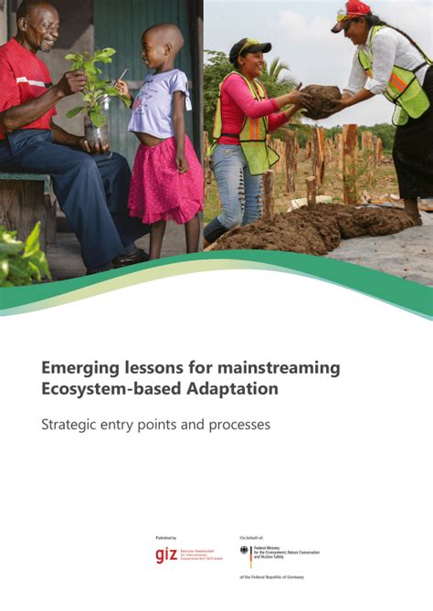 Emerging Lessons For Mainstreaming Ecosystem Based Adaptation Strategic Entry Points And