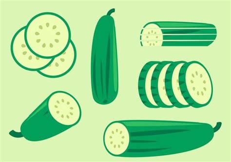 Cucumber Vector Art Icons And Graphics For Free Download