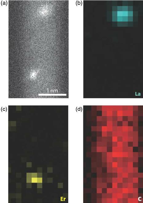 element selective imaging of single la and er atoms in a peapod