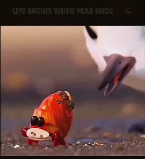 Vignesh V Nayak Csm® On Linkedin Post96