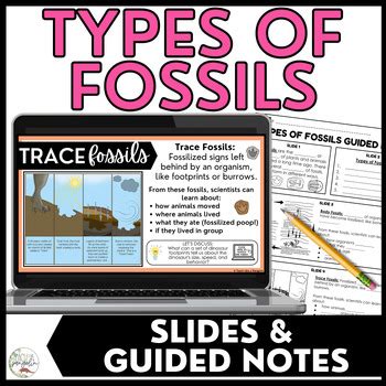 Types Of Fossils Differentiated Notes By Teach Like A Pangolin TpT