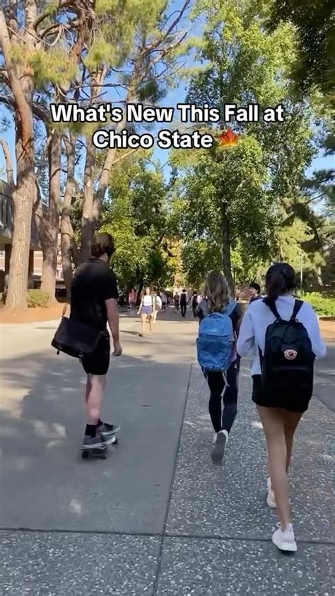 Chico State Chicostate • Instagram Photos And Videos