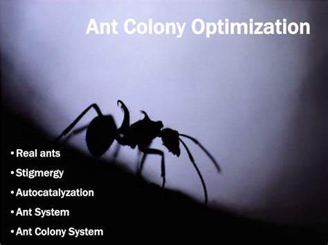PPT Ant Colony Optimization PowerPoint Presentation Free Download ID 5380338