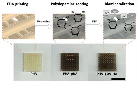 International Journal Of Bioprinting On Linkedin Openaccess Biomimetic Engineering Article