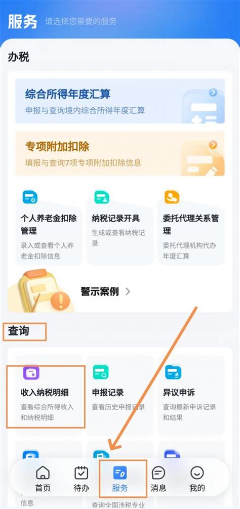 个人所得税app在哪查看工资明细 及详细操作步骤 适会说