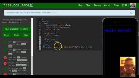 Override Class Declarations By Styling Id Attributes Freecodecamp Review Lesson 49 Youtube