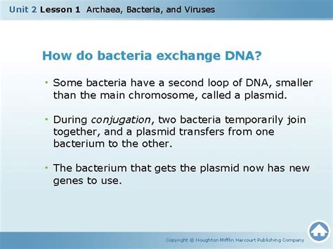 Unit 2 Lesson 1 Archaea Bacteria And Viruses