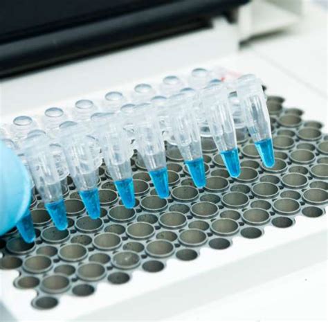 Pulseless Nanoliter Pump Fluid Metering