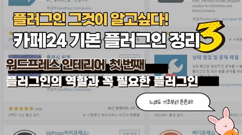 카페24 기본 플러그인 종류와 역할 워드프레스 입문기 3편 워드프레스 꾸미기 1편 Youtube