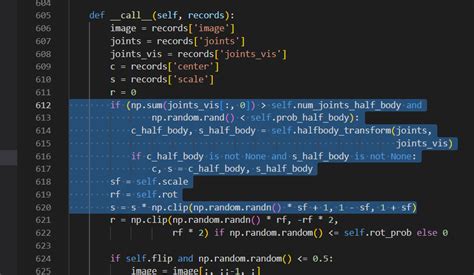 Tinypose Augumentation Detailed Issue PaddlePaddle PaddleDetection GitHub