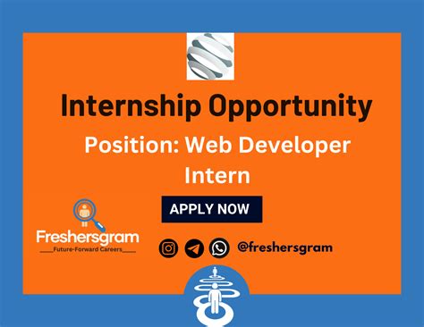 web developer internship at business web solutions