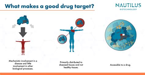 Image Depicting Some Of The Components Of An Ideal Drug Target These Components Include