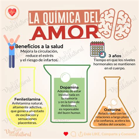 La Química Del Amor Clase De Química Tecnicas De Enseñanza Psicobiología