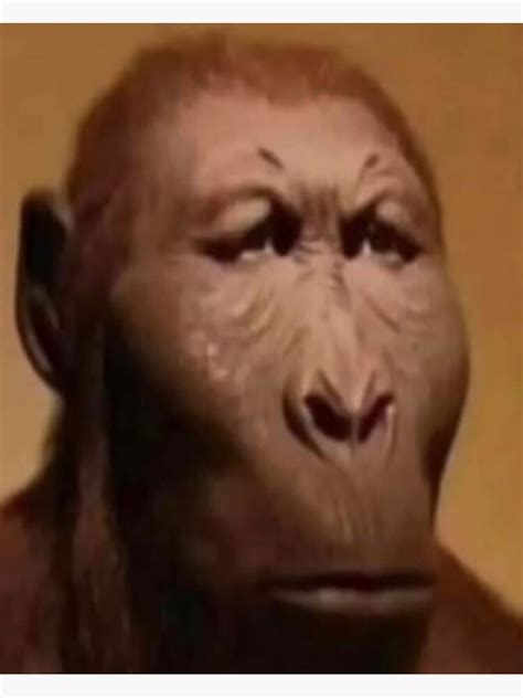 Straight Face Memes