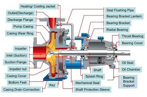 How To Easily Understand The Simer Pump Parts Diagram