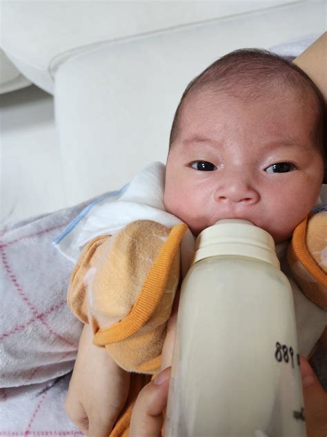 포텐간 화상벌레 개인 경험담 유머 움짤 이슈 에펨코리아