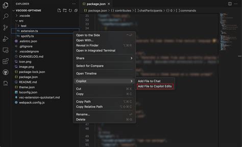 2024 年 11 月 版本 196 Vscode 编辑器