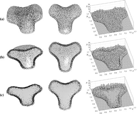 Evolution Of An Irregular Droplet And Its Particle Distributions At Download Scientific Diagram