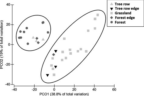 Scatter Plot Showing The Ordination Produced By Principal Coordinate Download Scientific