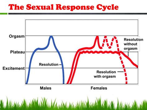 Ppt Module 36 Sexual Motivation Powerpoint Presentation Free