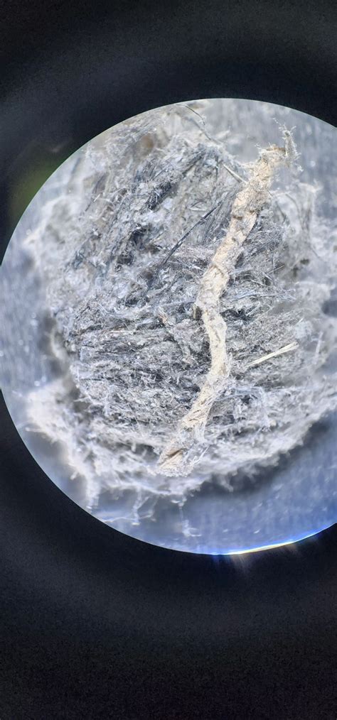 Asbestos Asbestosawareness Microscope Asbestossamples Danielle Carter