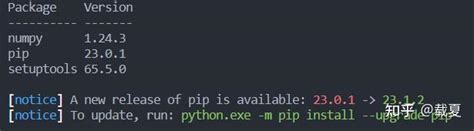 Python