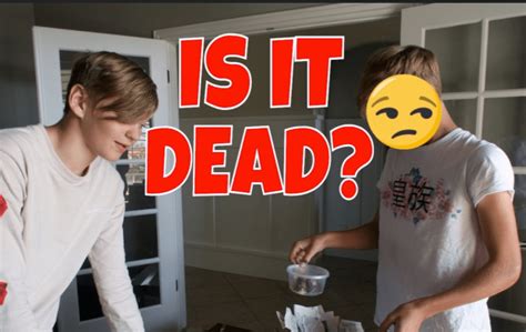 Is Nese Pipeline To Nyc Dead Williams Withdraws Final Nj Permit Marcellus Drilling News