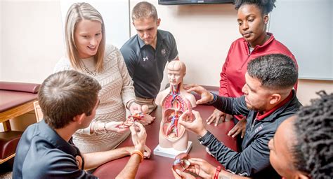 Exercise Science Ph D University Of South Carolina