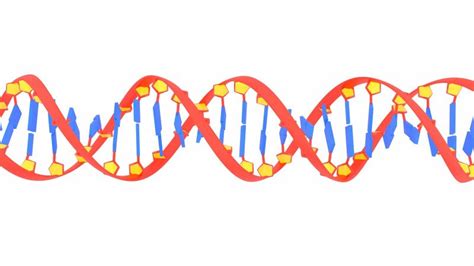 Nisha Talagala On Linkedin Ai Python Webinar Bioinformatics