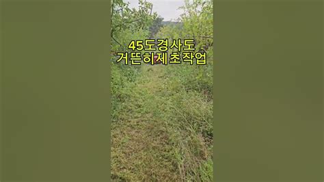 현대무선제초기 정부보조 농업용운반차 로봇제초기 농업기계 Youtube