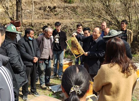 凤县：抓好人才培育 助力乡村振兴 凤县党建网
