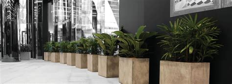 Indoor Office Planters And Pots Frenchams